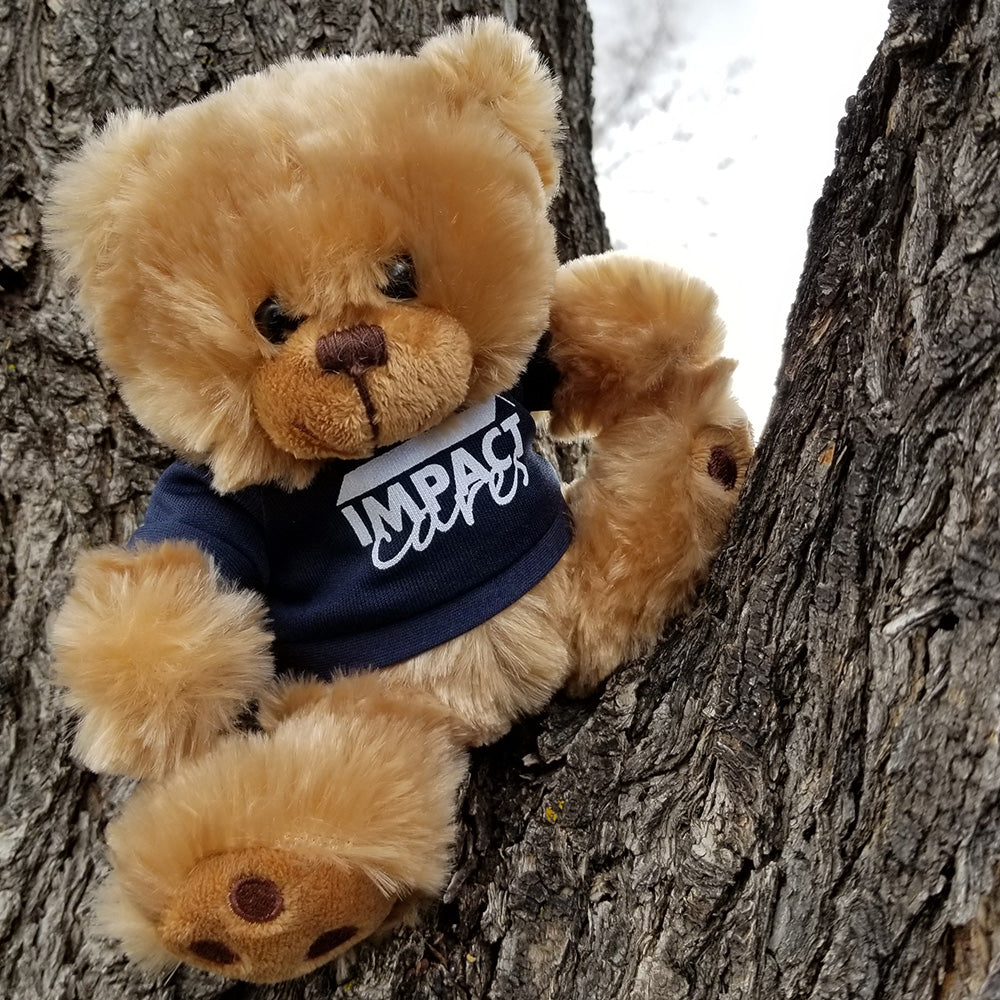 Impact Cares Teddy Bear – Impact Communities